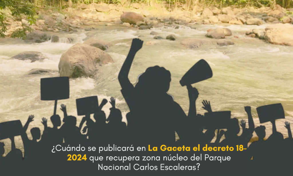 ¿Cuándo se publicará en La Gaceta el decreto 18-2024 que recupera zona ...